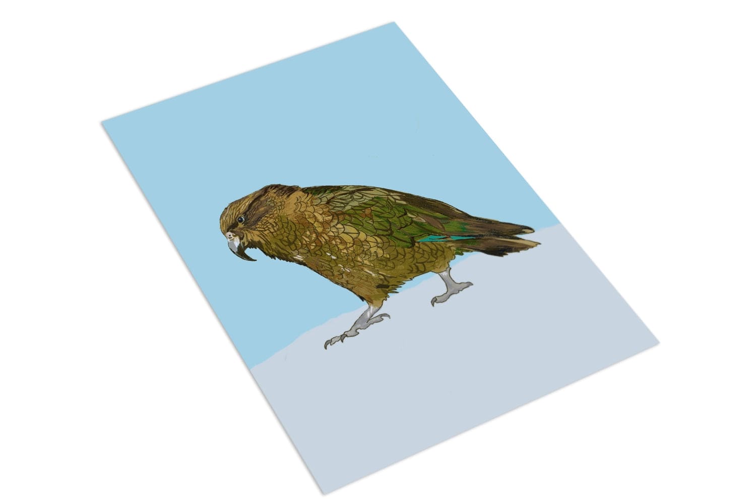 Kea Greeting Card Greeting Card – The Paper People Greeting Cards